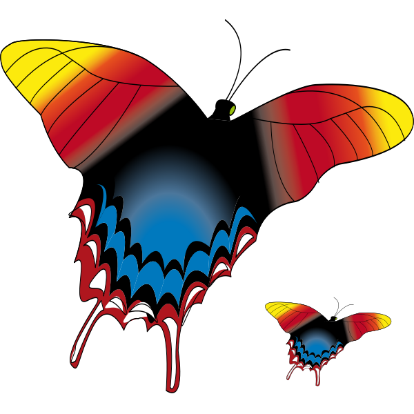 Blue and orange butterfly | Free SVG