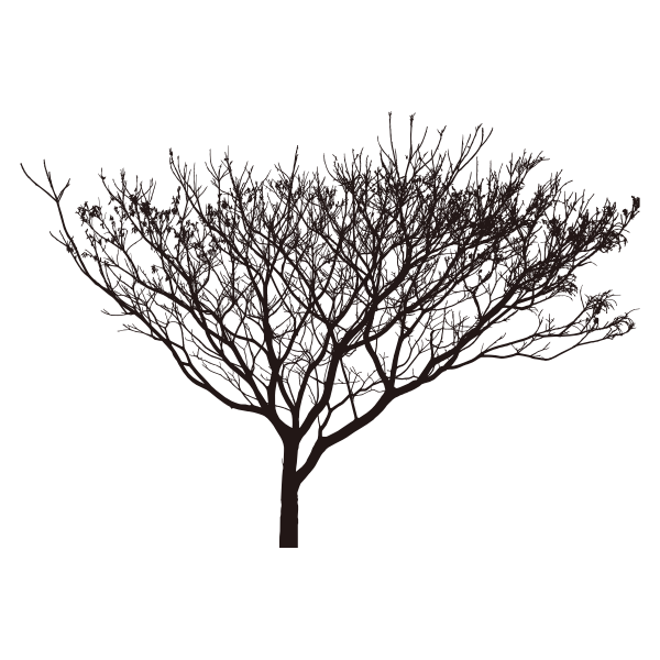 bare tree | Free SVG