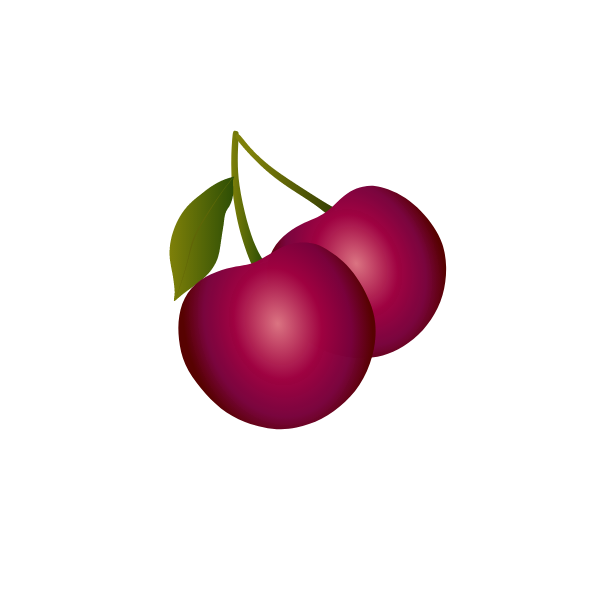 Cherry SVG | Free SVG