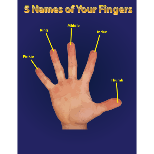Finger Names Poster Free SVG Finger Names Poster Free SVG