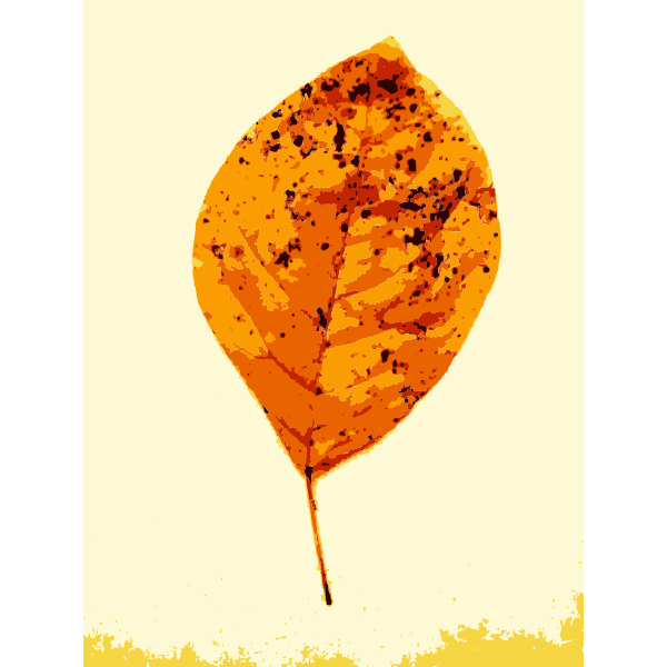 More fall tree leaves | Free SVG