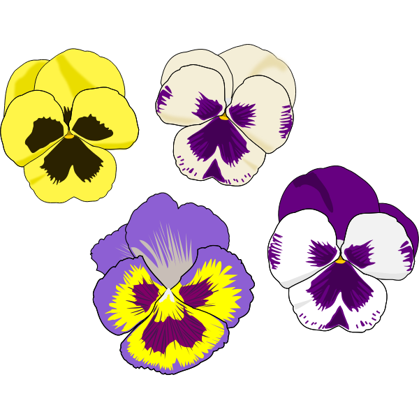 Pansy Selection | Free SVG