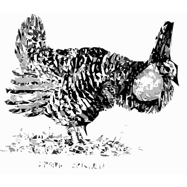 Prairie Chicken Bird | Free SVG