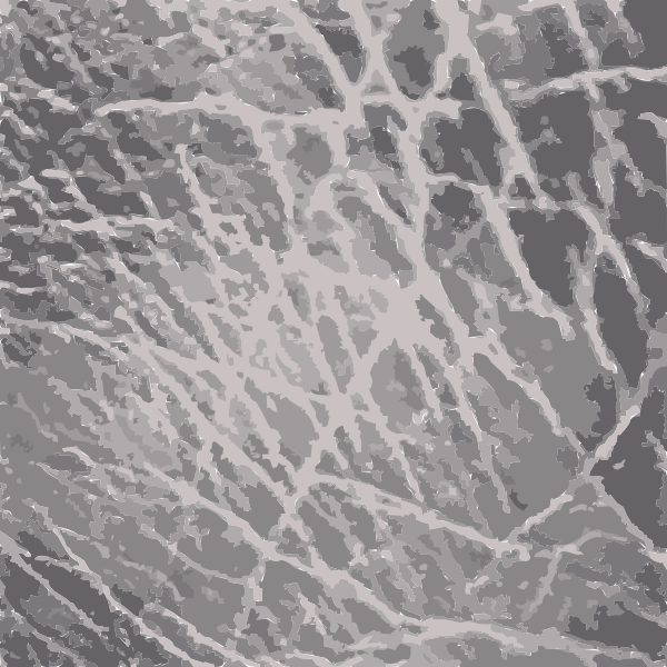 Retro patterns | Free SVG