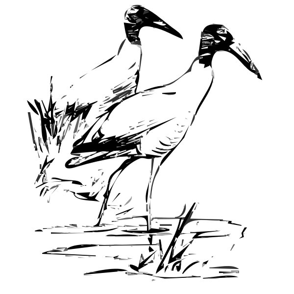 Wood Ibis vector clip art | Free SVG