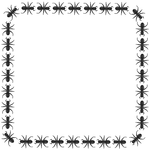 Black ant | Free SVG