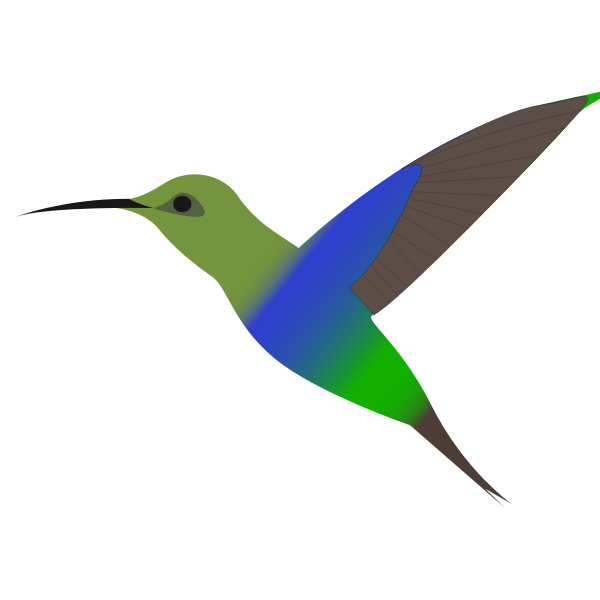 Colibri birds | Free SVG