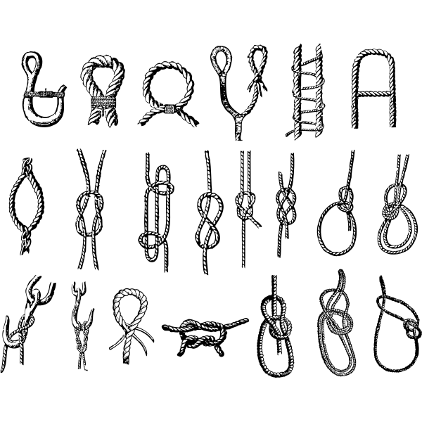 Bowline knot vector image | Free SVG