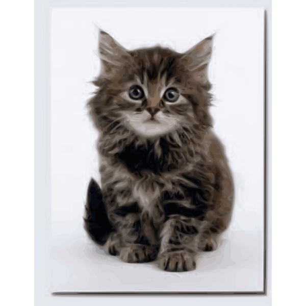 Cute fluffy cat vector graphics | Free SVG