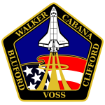 STS 100 Patch | Free SVG