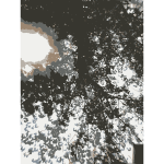 Tree And Sun | Free SVG